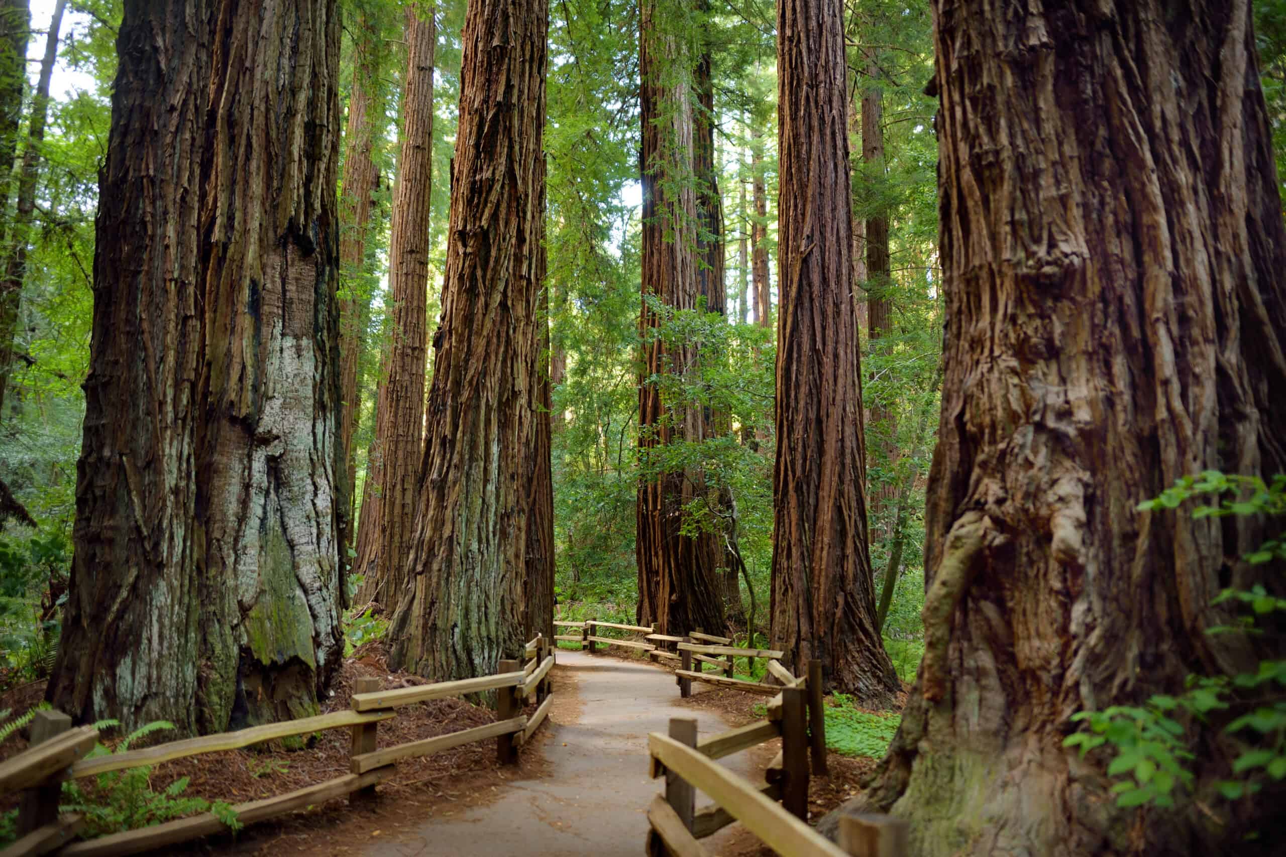 Unveil U.S. History: 12 Must-Visit National Monuments